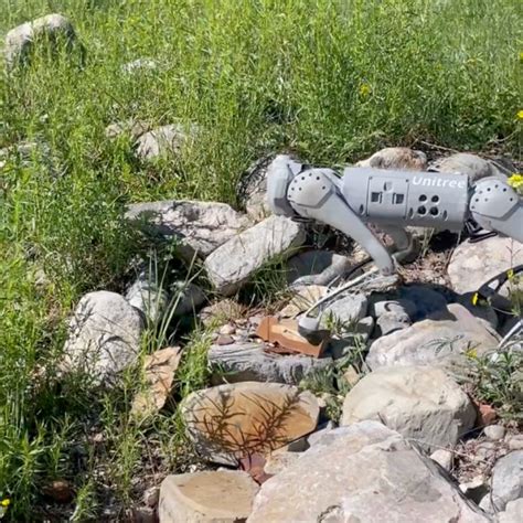 Testing The Field Capabilities Of The Unitree Go 1 Correll Lab University Of Colorado Boulder