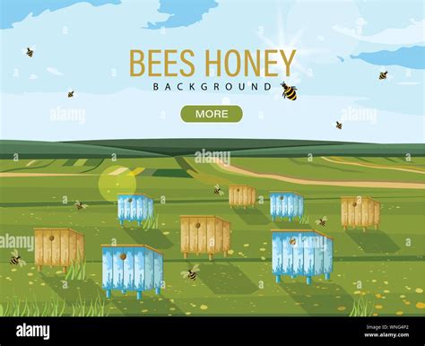 Nest Bees Stock Vector Images Alamy