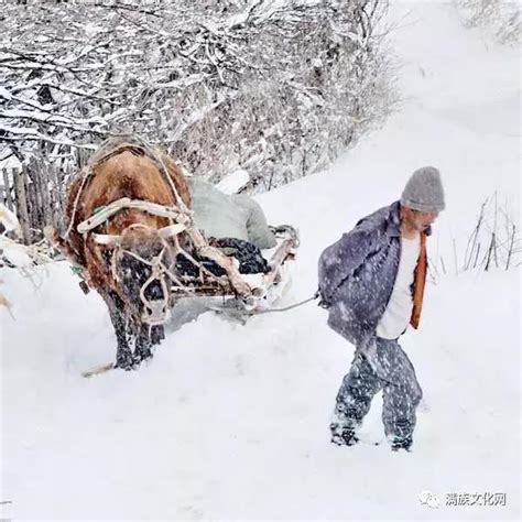 老滿洲旗人吃牛肉嗎 每日頭條