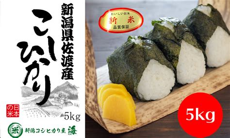 佐渡産コシヒカリ5kg 新潟コシヒカリ屋 海