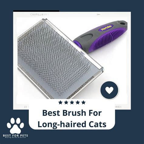 The 12 Best Cat Brushes For Long Haired Cats Of 2023