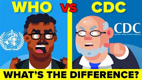 Video Infographic Who Vs Cdc What Do They Actually Do