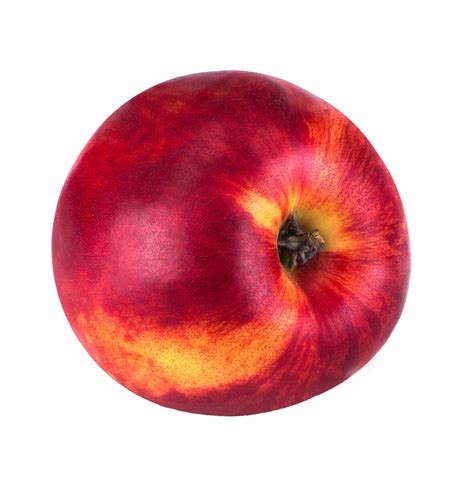 Nectarine ‘arctic Rose How To Grow An Arctic Rose White Nectarine Tree