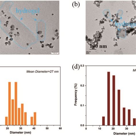 A The Morphology Of Ag Nps Viewed By Tem B The Morphology Of Au