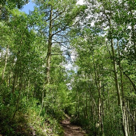 Backpacking The Four Pass Loop Just Jfaye