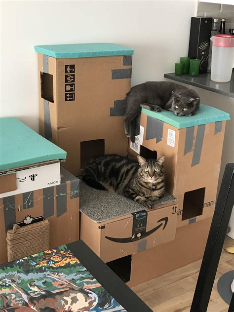 How To Make A Cat Tower With Boxes At Tarah Gordon Blog