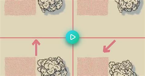 My Top Down Tree Animation The Side Of The Tree Facing The Wind Is Shifted More And Pushed