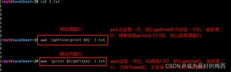 Shell脚本详解（十一）——awk文本和数据处理编程语言awk Nr2 Print 2 Csdn博客