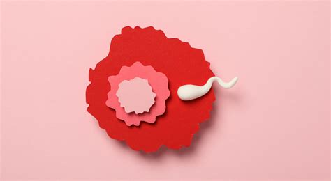Como Calcular O Seu Período Fértil