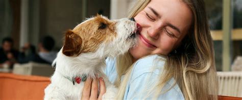 Top 10 Most Popular Terrier Breeds