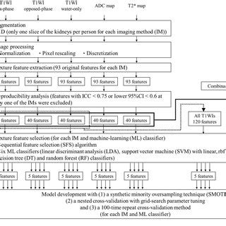 Flow Chart Showing The Technical Study Pipeline After Segmentation Download Scientific
