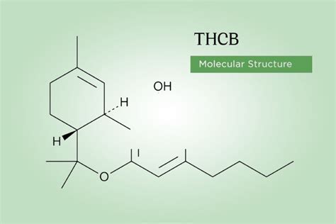 Thcb Sverige Det Nya Lagliga ”thc”