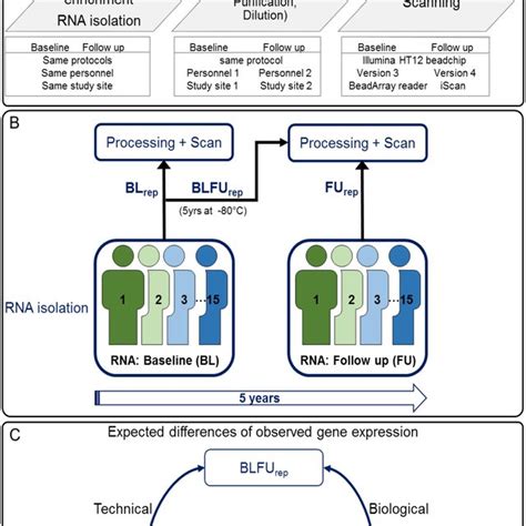 Comparison Of Different Batch Effect Removal Approaches Replicates Of Download Scientific
