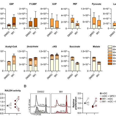 Glucose Metabolism Promotes Ampk Induced Tolerogenicity A B U 13