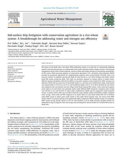 Sub Surface Drip Fertigation With Conservation Agriculture In A Rice