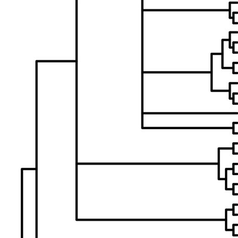 Consensus Of Five Most Parsimonious Trees Found By Heuristic Search