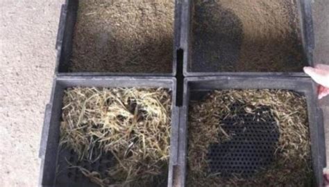 Penn State Particle Separator Measuring Distribution Of Feed And Forage