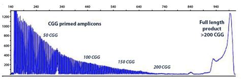 Scibiochem Pcr Sizing And Triplet Primed Pcr Tp Pcr
