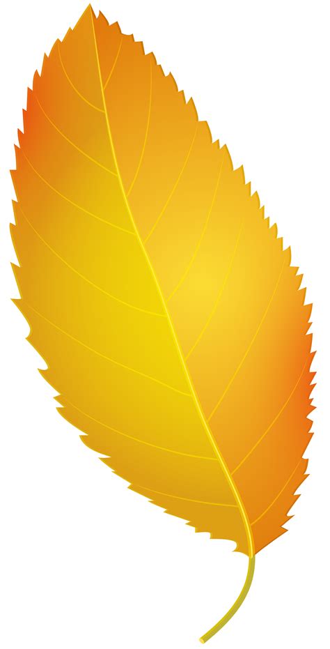 Leaf On Web Clipart 19 Free Cliparts Download Images On Clipground 2025