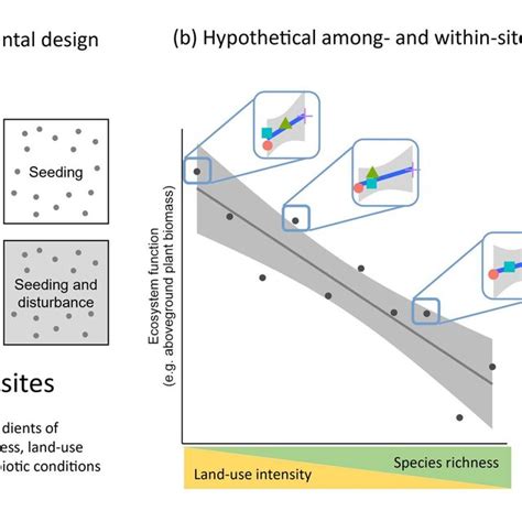 A Path Analysis Diagram With Standardized Among Site Effects Of