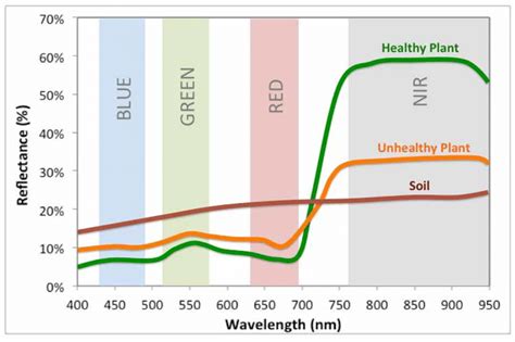 Electronics Free Full Text Machine Learning And Deep Learning Techniques For Spectral