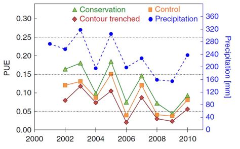 Can There Be One Optimal Ecosystem Design For Maximal Efficiency Of Precipitation Use