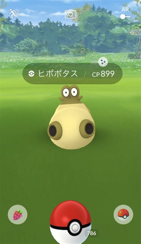 【ポケモンgo】タマタマの色違い、 入手方法と実装状況 攻略大百科