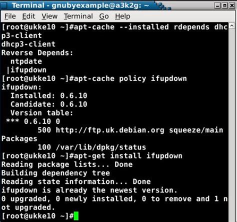 Kvm Dedicated Debian Squeeze Packages Held Back