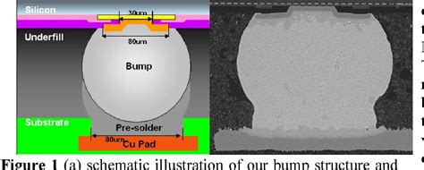 Figure 4 From Electromigration Of SnAg Bump With Ni UBM On Various Substrate Pad Finishes With