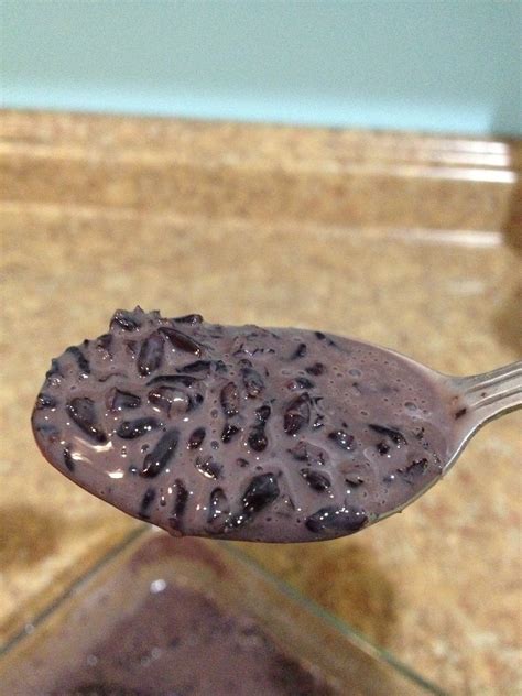 Short Girl Long Island Forbidden Rice Pudding