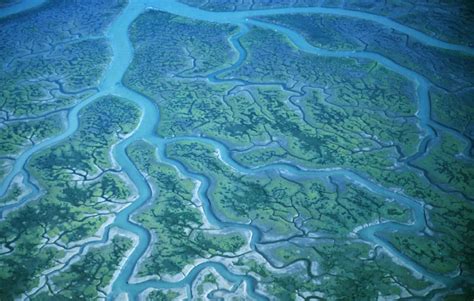 Free Picture Humboldt Bay Wilderness Refuge Aerial Perspective