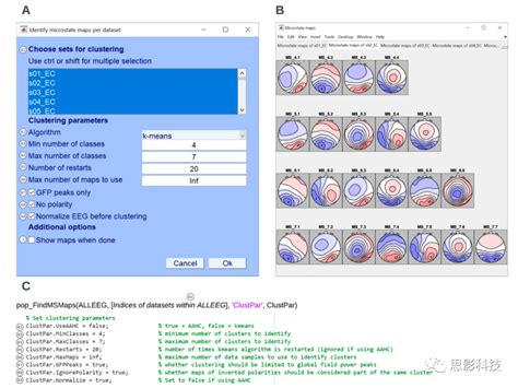 Microstatelab：用于静息状态微状态分析的eeglab工具箱 Csdn博客