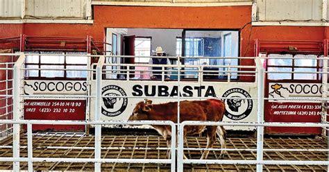 Definen Protocolo Para Reabrir El Envío De Res Exportación A Eu Estuvo
