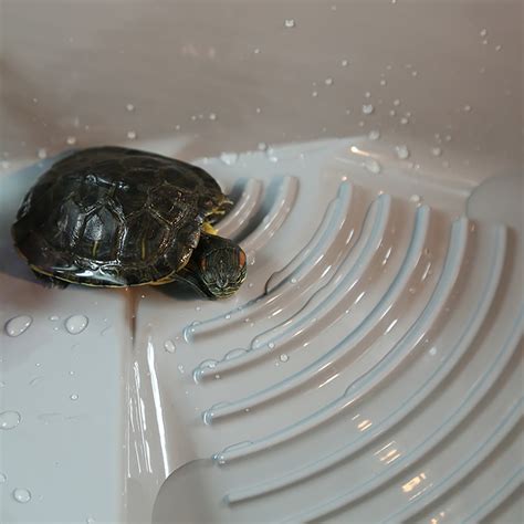 Sturdy Aquatic Turtle Tub Tank With Basking Platform Breeder Box Kit