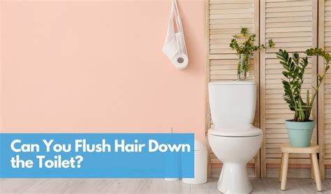 Can We Flush Pubic Hair Down The Toilet At Carl Buteau Blog
