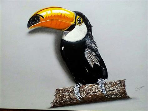 Tucán técnica mixta sobre papel fabriano artístico Arte Amino Amino