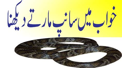 Khwabon Ki Tabeer In Urdu Khwab Mein Saanp Dekhna In Urdu Bay