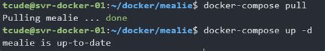 Updating A Container With Docker Compose