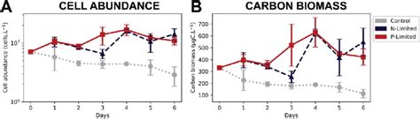 Mean Total Cell Abundance Cellsl À 1 A And Mean Total Carbon