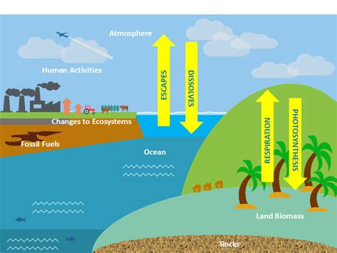 1228 Climate And Carbon Cycle Feedback Interactions May Significantly