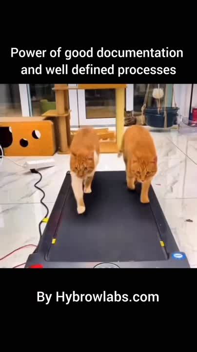 hybrowlabs technologies on linkedin techlife codingchallenges appdesign techstacks