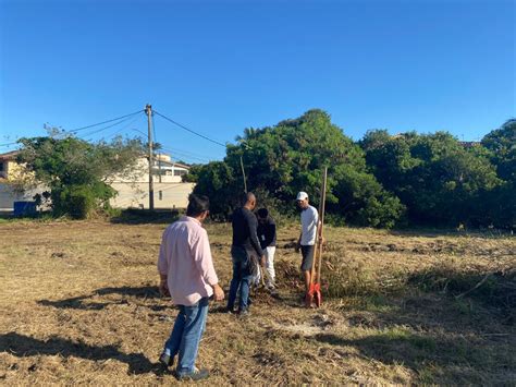 Dia Do Ambiente Prefeitura De Búzios Faz Plantio De Mudas Nativas Em