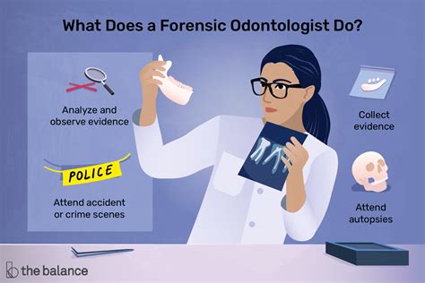 Captivating Facts About Forensic Odontologist 57 Off