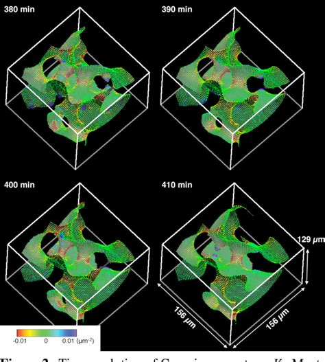 Figure 1 From The Interface Dynamics Of Bicontinuous Phase Separating