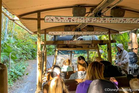 3 Surprising Things That Can Get You Banned From Disney World The