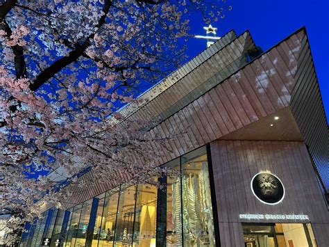 2024櫻花季必訪咖啡廳！絕美東京目黑川星巴克starbucks reserve® roastery tokyo yo coffee