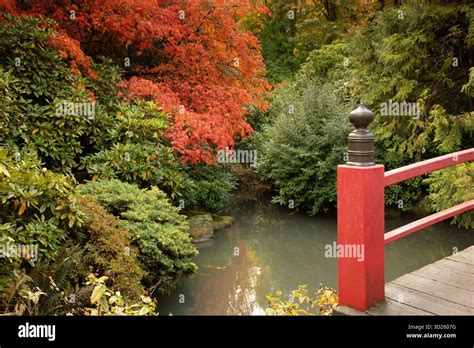 Wa28700 00washington Fall Color And Moon Bridge In Seattles
