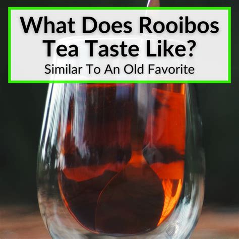What Does Rooibos Tea Taste Like Similar To An Old Favorite