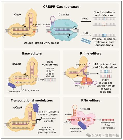 文献分享 Cell ：基因编辑技术的过去、现在和未来 知乎