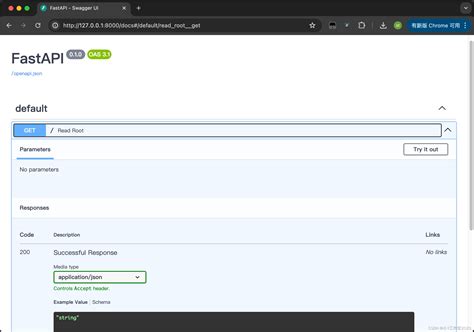 【入门篇】 最快的 python web 框架之一，还不快试试 python webapi csdn博客